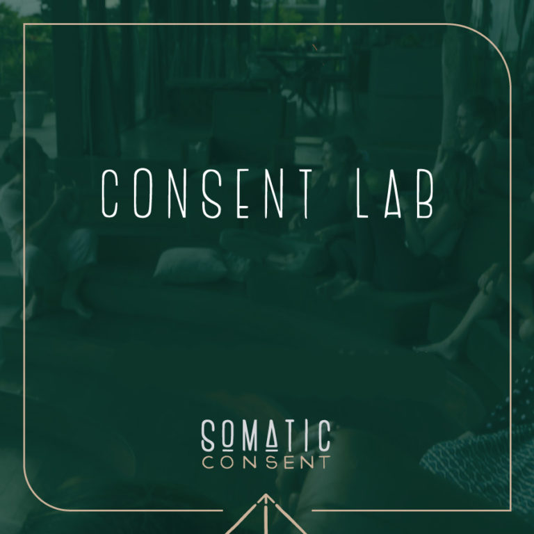 ConsentLab Leadership – Somatic Consent IE